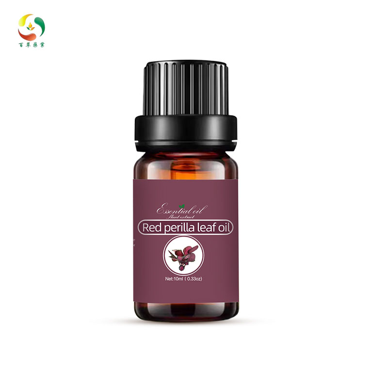China 100% Pure Red Perilla Essential Oil Cold Pressed From Seeds ...